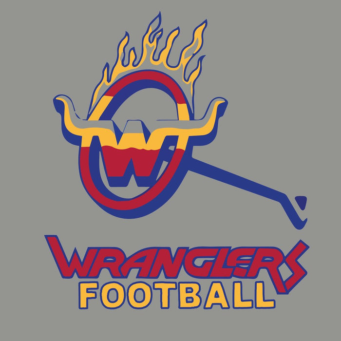 Arizona's (Almost) Pro Football Champions – OldSchoolShirts.com